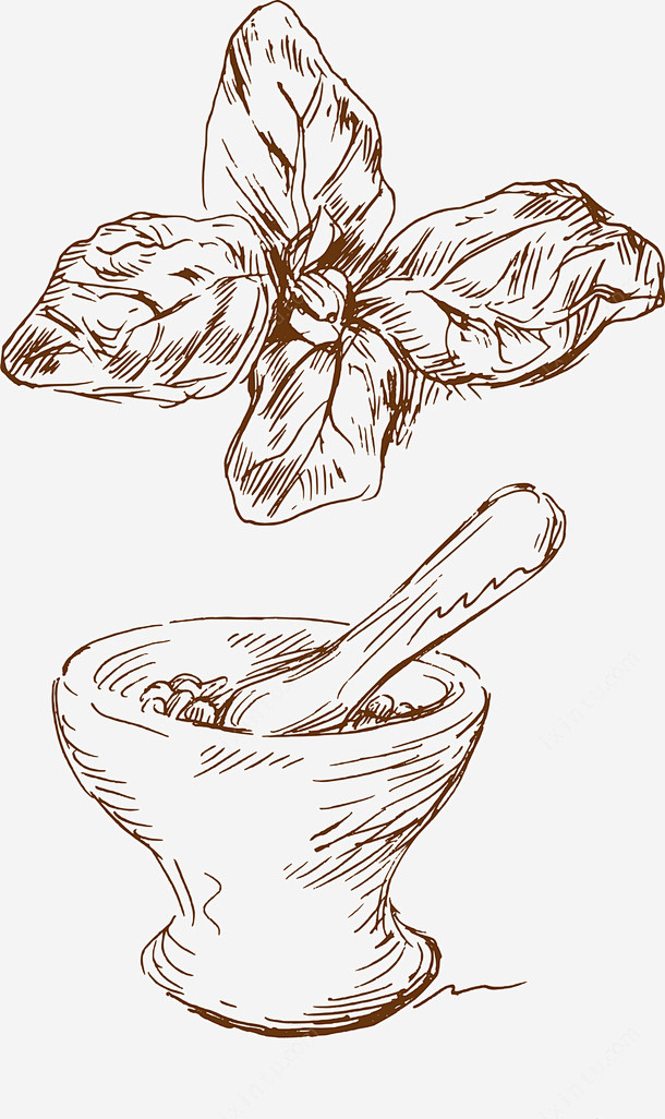手绘研制中药药粉png免抠素材_新图网 https://ixintu.com 手绘罐子 棕色罐子 素描 绘画 研制药粉 中药药粉