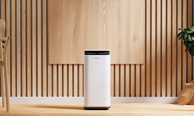 format,webp.webp (34)