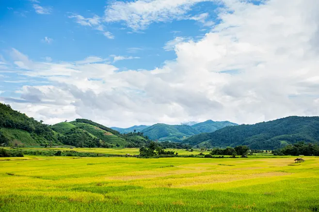 Prajak Poonyawatpornkul在 500px 上的照片thai rice fields and blue sky-花瓣网