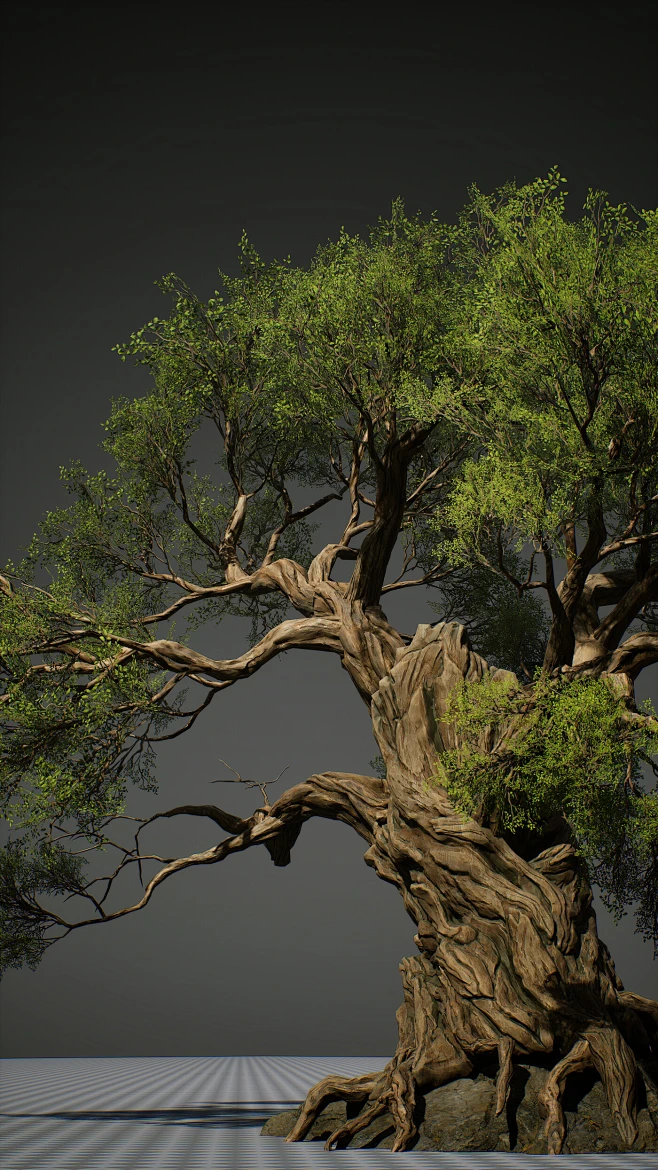 Tree & Rock-花瓣网