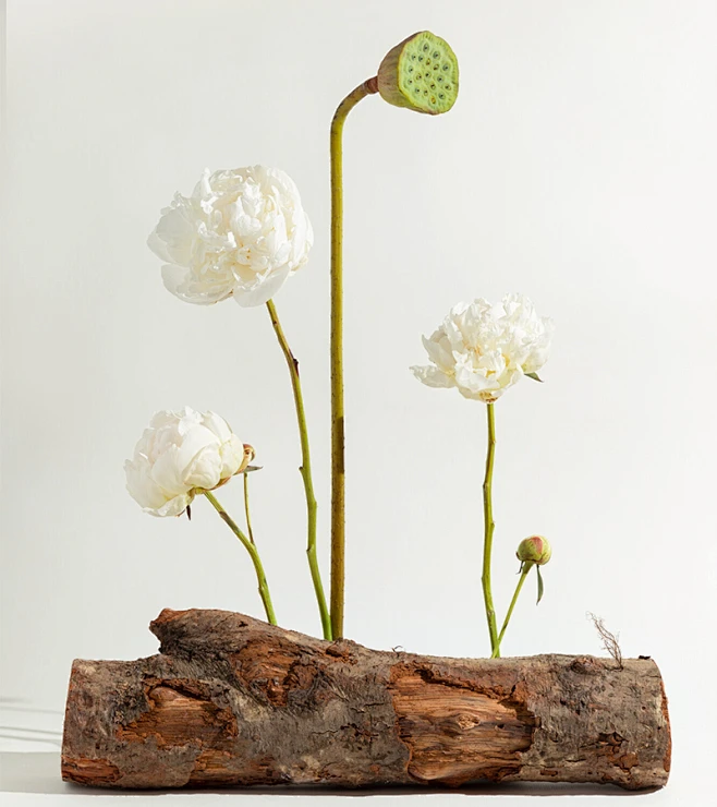 TOCI菁萃奇焕亮泽护发精油抚平毛躁干枯烫染受损修护深层滋养发丝-tmall.com天猫-花瓣网