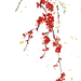 eff_trail_512x256_a_027-花瓣网