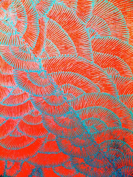 Galerie Art d'Australie - Stéphane Jacob-花瓣网