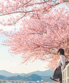 摄影/tomosaki-花瓣网|陪你做生活的设计师 | 0×2048)