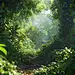 In that vast forest,3d art,c4d,actane render,ray tracing,pixar trend ...