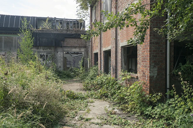 Overgrown Factory (8)-花瓣网