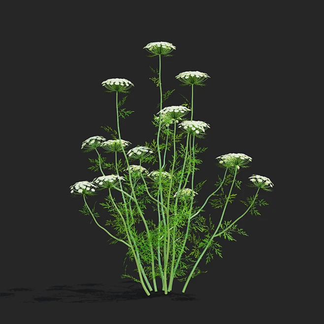 3D 3ds max archviz CGI exterior flower Plant Render visualization vray-花瓣网