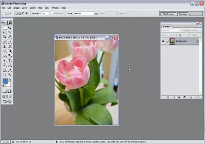 Fade Images in Photoshop Using Layer Masks-花瓣网