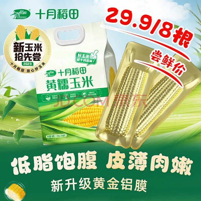 十月稻田【 2023年新玉米】黄糯玉米1.76kg/220g*8根 甜糯玉米棒 黄糯玉米1.6kg-花瓣网