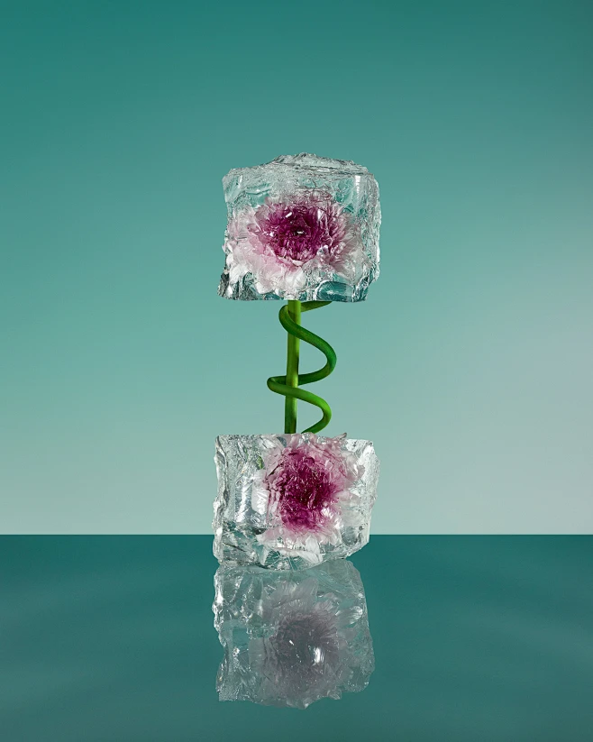 Freezing Flowers-花瓣网