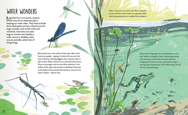 animals bugs children's book Ecology environment Insects Nature non ...