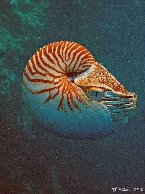 微博搜索-花瓣网