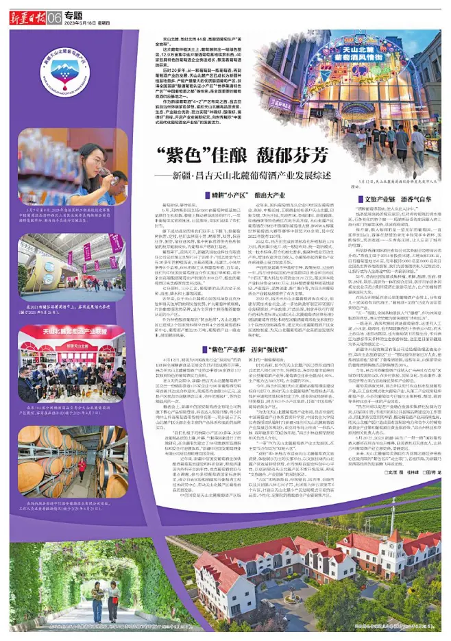 新疆日报--2023-05-18--A06专题-花瓣网