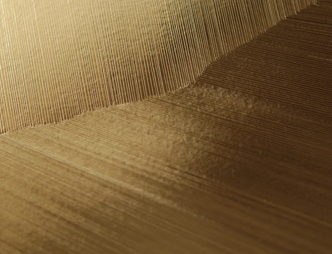gravure engraving lines lignes Repetition gold Or golden dorée re (5)-花瓣网