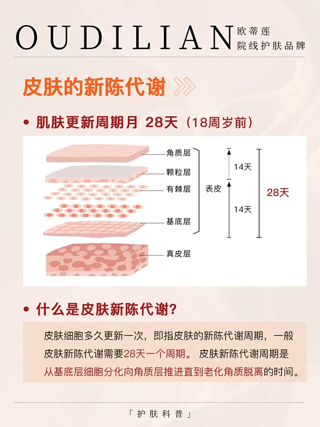 皮肤管理 认识皮肤新陈代谢有效护肤 花瓣网