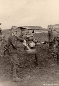 素材-花瓣网|陪你做生活的设计师 | 作战和搞笑都很强，二战德军士兵的搞笑瞬间