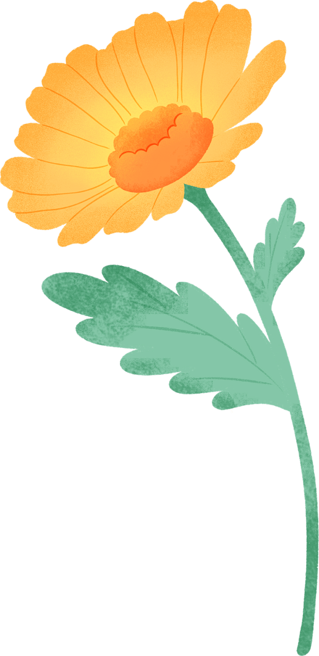 canva-%E5%A6%87%E5%A5%B3%E8%8A%82%E5%A5%B3%E6%80%A7%E6%9D%90%E8%B4%A8 ...