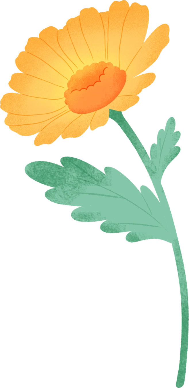 Canva E5 A6 87 E5 A5 B3 E8 8a 82 E5 A5 B3 E6 80 A7 E6 9d 90 E8 B4 A8