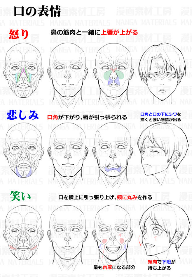 用面部肌肉和骨骼做面部表情