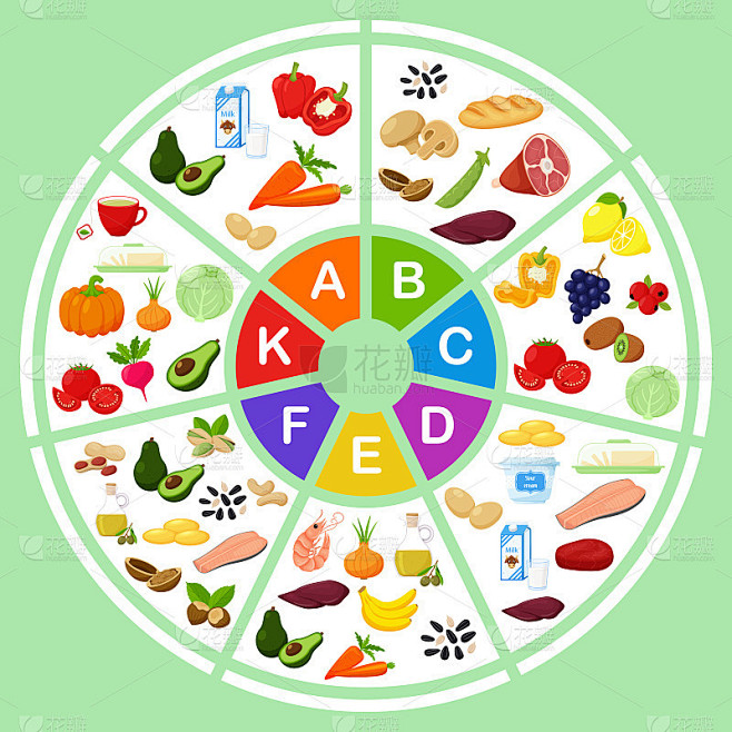 主要维生素和含有这些维生素的食物的饼状图。平的卡通插图。圆形图模板。健康食品，健康食品，饮食。颜色 3183