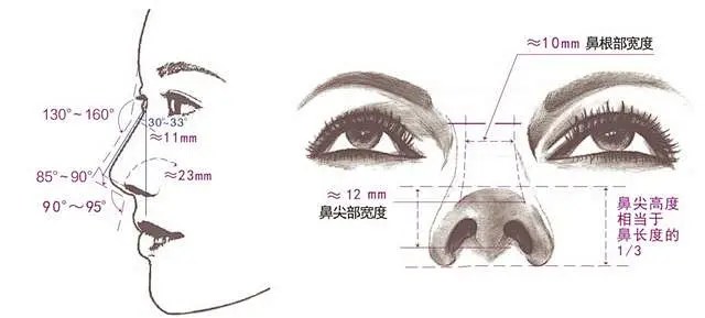 美学标准_百度图片搜索-花瓣网