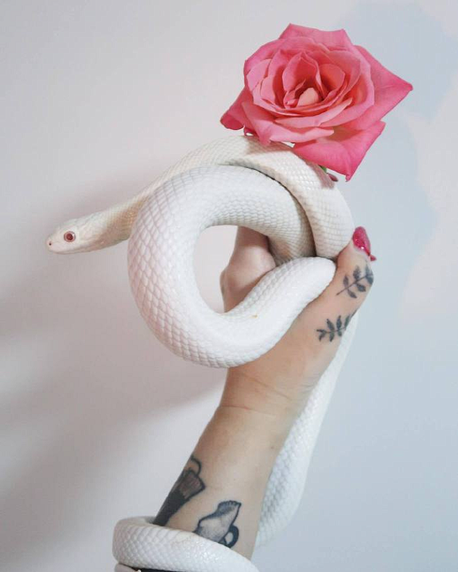 934c7c57-7609-4364-8366-8bb718f8efd6