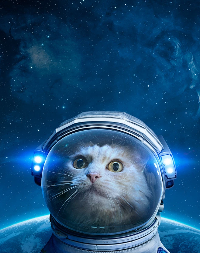 Be More Dog - Space Cat : Working with Framestore, the VFX company ...