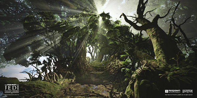 Star Wars Jedi: Fallen Order|Kashyyyk Origin Tree-花瓣网