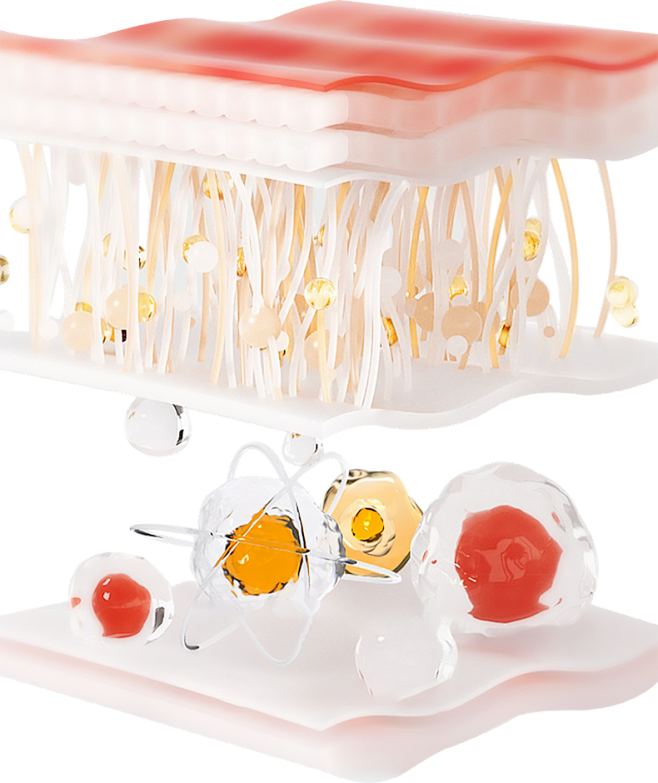 1b42dac75fa52f36649eb6cf4fc36ad78ff65014b2dd8-T7Z3Li