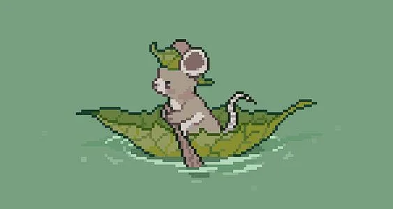 (166) Pinterest-花瓣网