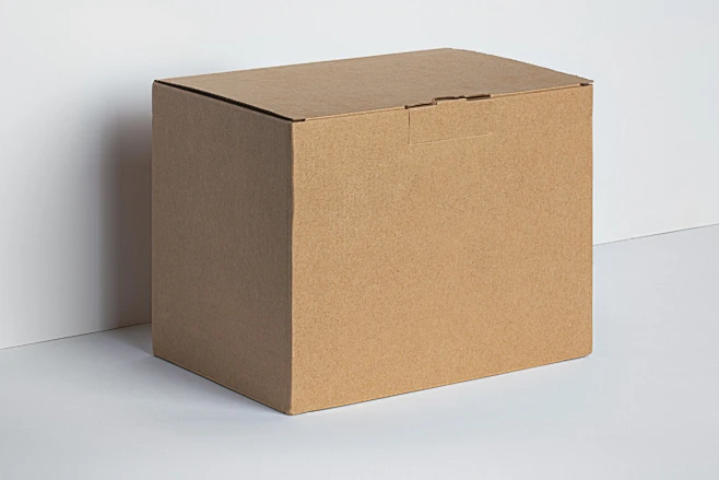006 cardboard kraft packaging box scene branding graphic design free ...