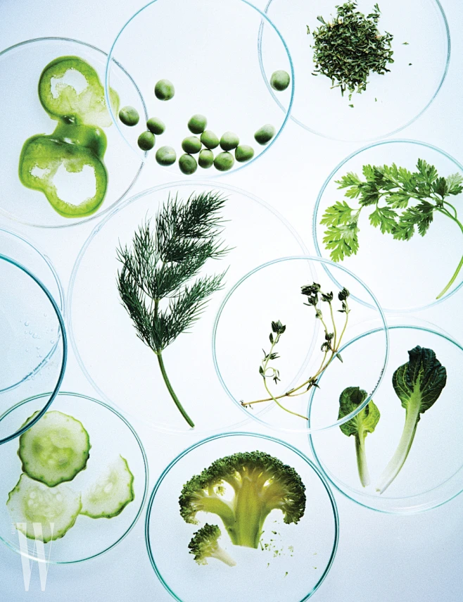 여름건강체크리스트(고해상)-花瓣网