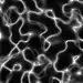 Filter Forge - Water Caustics Texture Challenge-花瓣网
