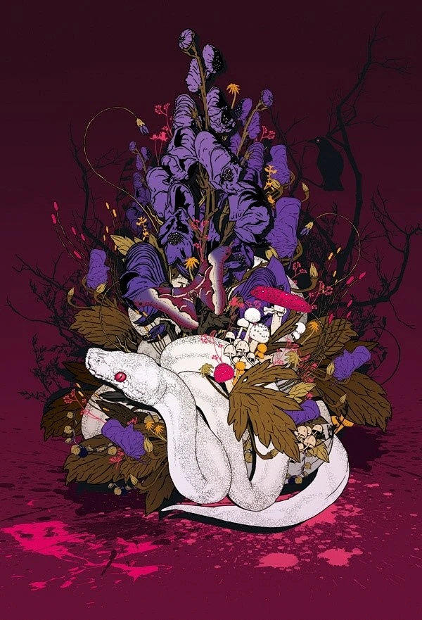 日本撞色大师Miruma-花瓣网