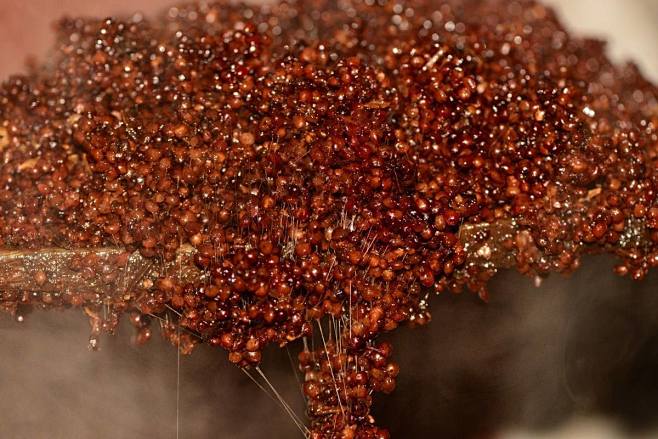 src=http---5b0988e595225.cdn.sohucs.com-images-20180108 ...