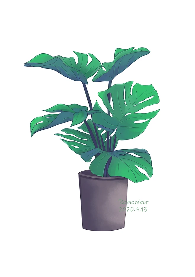 盆栽植物系列_remember_RM__插画师作品_涂鸦王国gracg.com-花瓣网