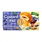 a carton of custard cake with blueberries-花瓣网