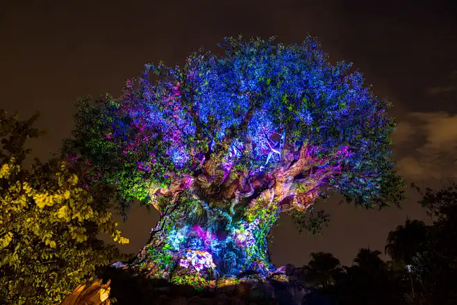 灯光#景观(1533图)_@Jessica的行游之路收集_花瓣建筑设计Tree of Life by Dan Highton ...