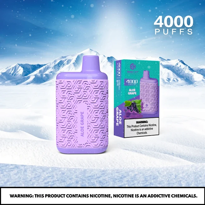 2022 New and Hot Sales E-Cigarette 4000 Puff Disposable Vape-花瓣网