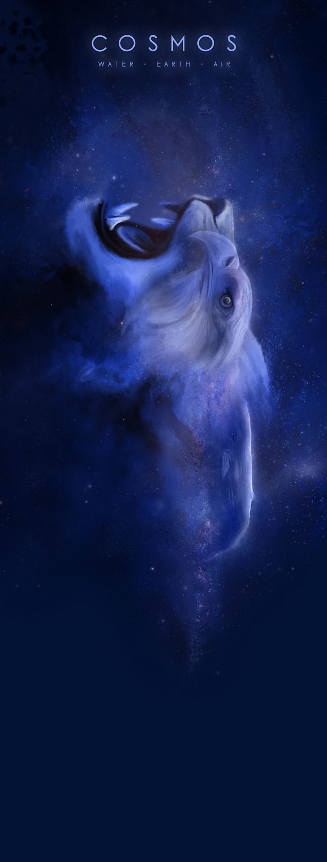 COSMOS : COSMOS (WATER - EARTH - AIR)-花瓣网