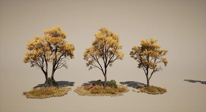 树木生物群落（Tree biome）-花瓣网