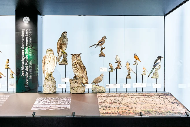 Avimundus - A new Bird Museum-花瓣网