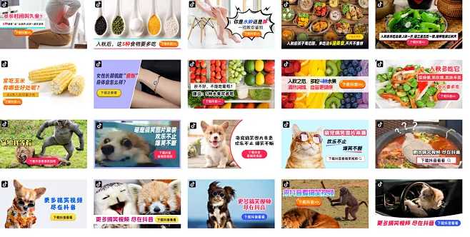 2021-9-8-wll-花瓣网