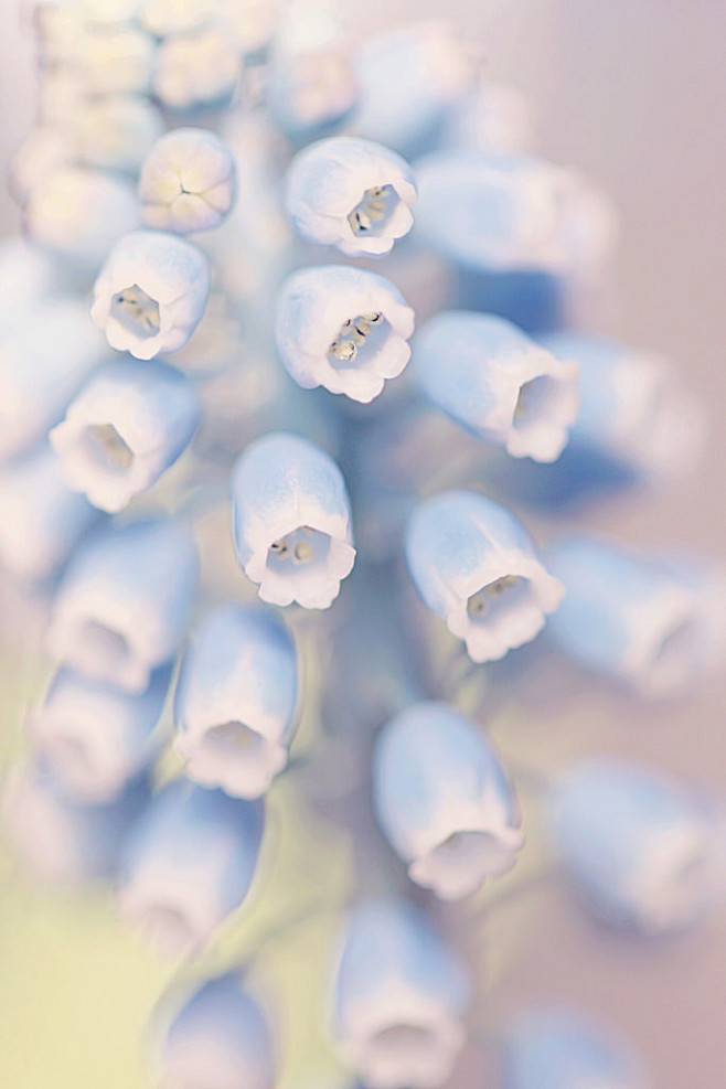 Untitled | Sandra Hudson Knapp