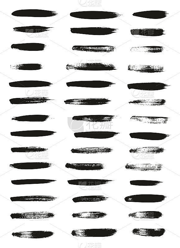 Calligraphy Paint Thin Brush Lines High Detail Abs