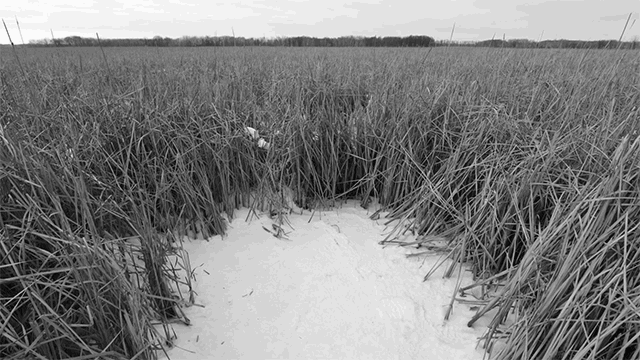 Markus Magnusson-花瓣网