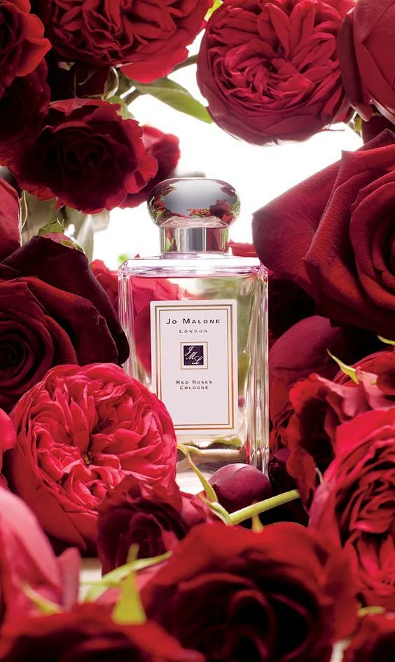 Red Roses Cologne Jo Malone-花瓣网