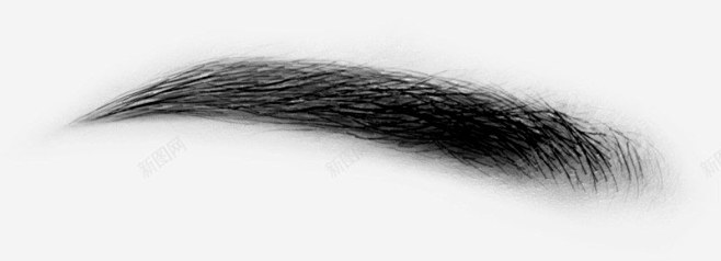 证件照五官眉毛五官1 眉毛 女眉毛