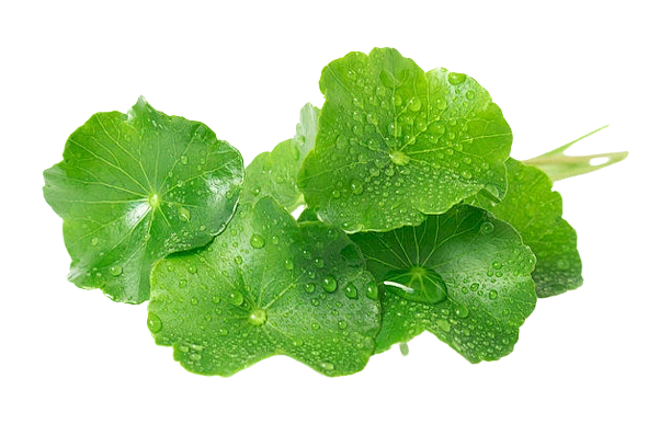 image-removebg-preview - 2023-01-11T141349-花瓣网