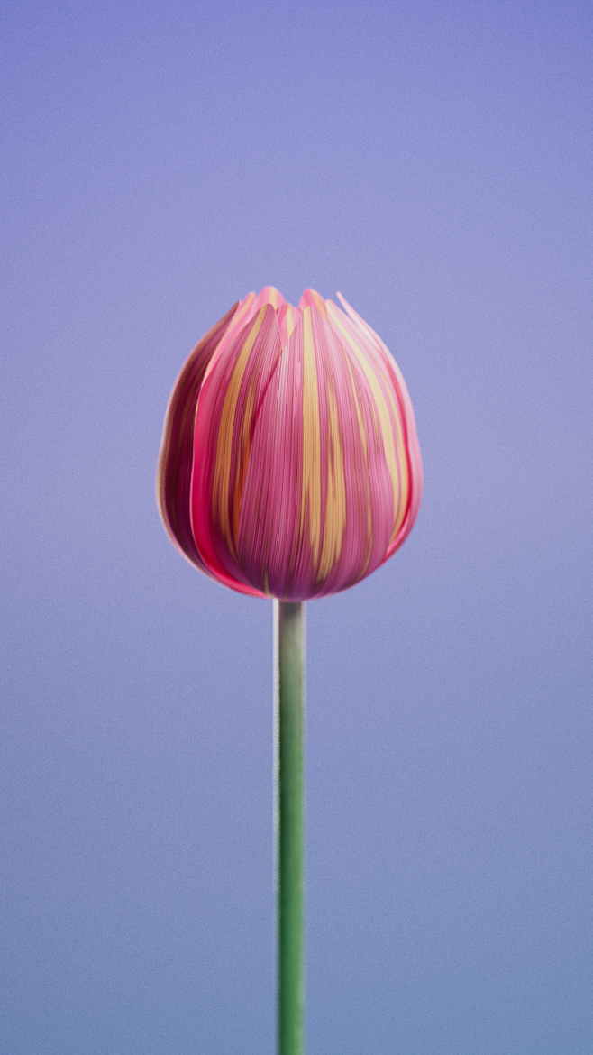 Daily digital flower experiment3